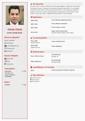 Cv Şablonları ile Boş Cv Doldur ve Cv Hazırla | Cv Lazım