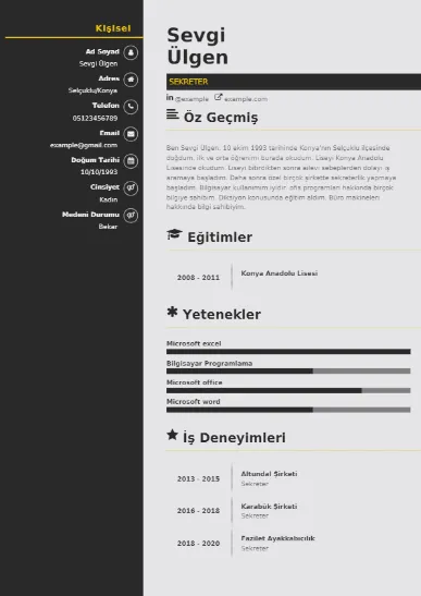 Cv Şablonları ile Boş Cv Doldur ve Cv Hazırla | Cv Lazım