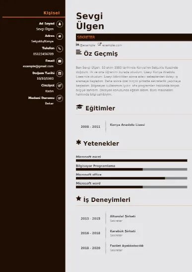 Cv Lazım | Online Cv Hazırlama