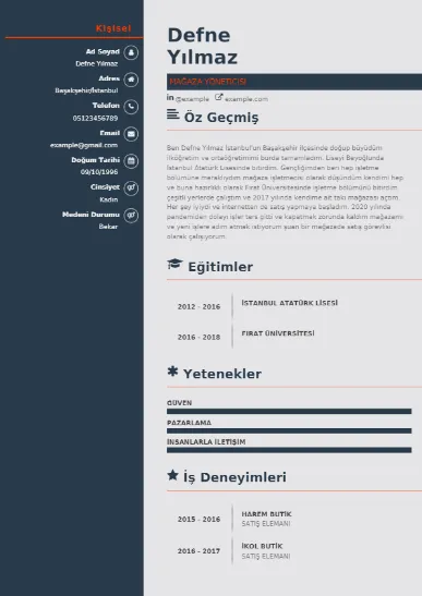 Cv Hazırlama Formu İle Profesyonel Cv Doldurma | Cv Lazım