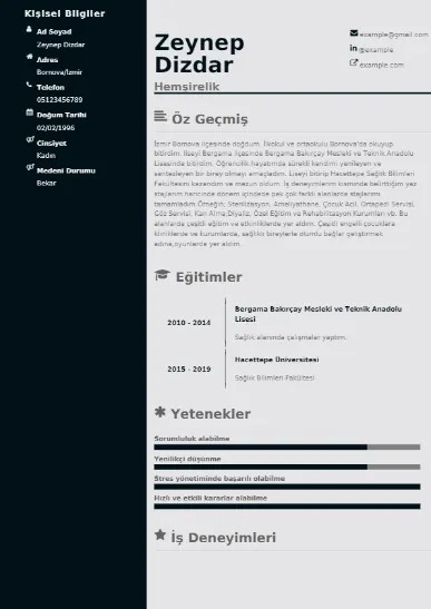 En Yeni Mezun CV örnekleri ile Profesyonel Cv Nasıl Hazırlanır? | Cv Lazım