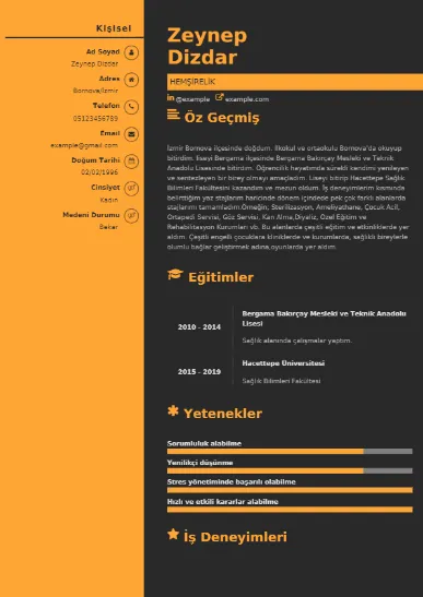 En Yeni Mezun CV örnekleri ile Profesyonel Cv Nasıl Hazırlanır? | Cv Lazım
