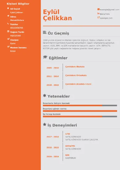 Hazır Cv Örneği ve Boş Cv İndir | Cv Lazım
